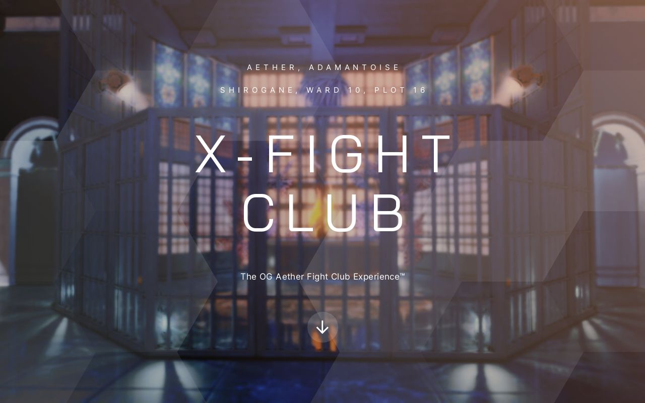X-Fight Club